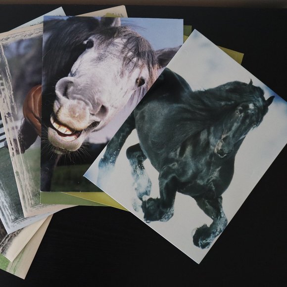 Office | Vintage Mead Horse Folders Mead Bob Langrish Mead Folders ...